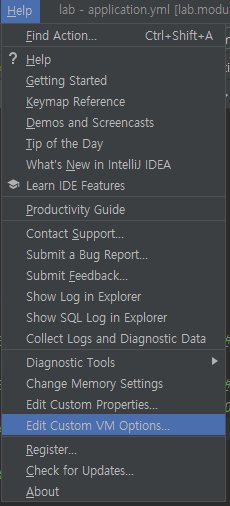 Project Lab 1-1. 개발 환경 구축(IntelliJ) | 끄적이판